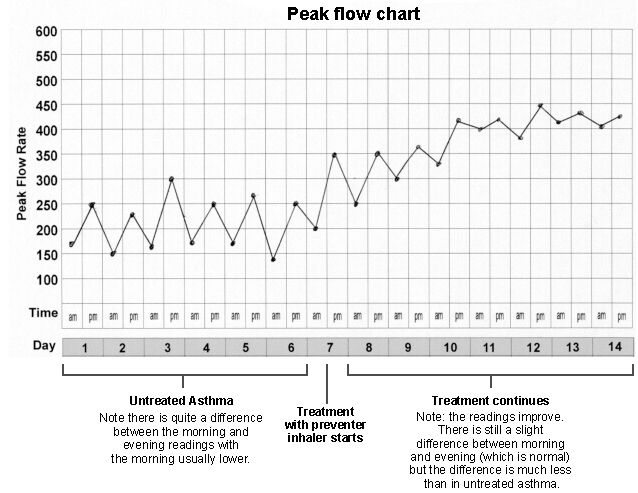 Peak Flow Meter: How to Use| Measure and Manage Asthma
