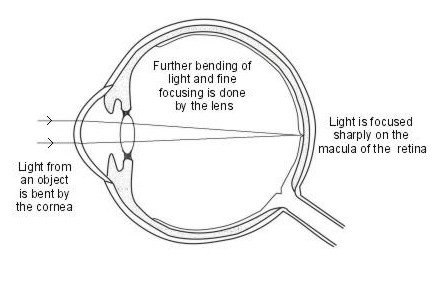 Hypermetropia (Long-Sightedness): Symptoms, and Treatment