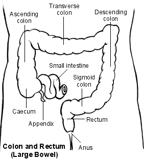 Proctalgia Fugax (Shooting Pain in Bum): Causes and Treatment
