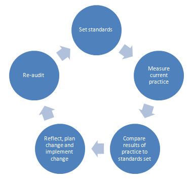 Audit and Audit Cycle (Clinical Audit Information) | Doctor