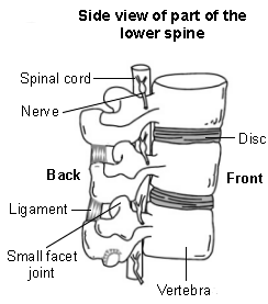 Lower Back Pain: Types, Causes, and Treatment
