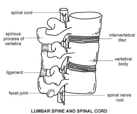 Spinal Disc Problems: Causes, Symptoms, and Treatment